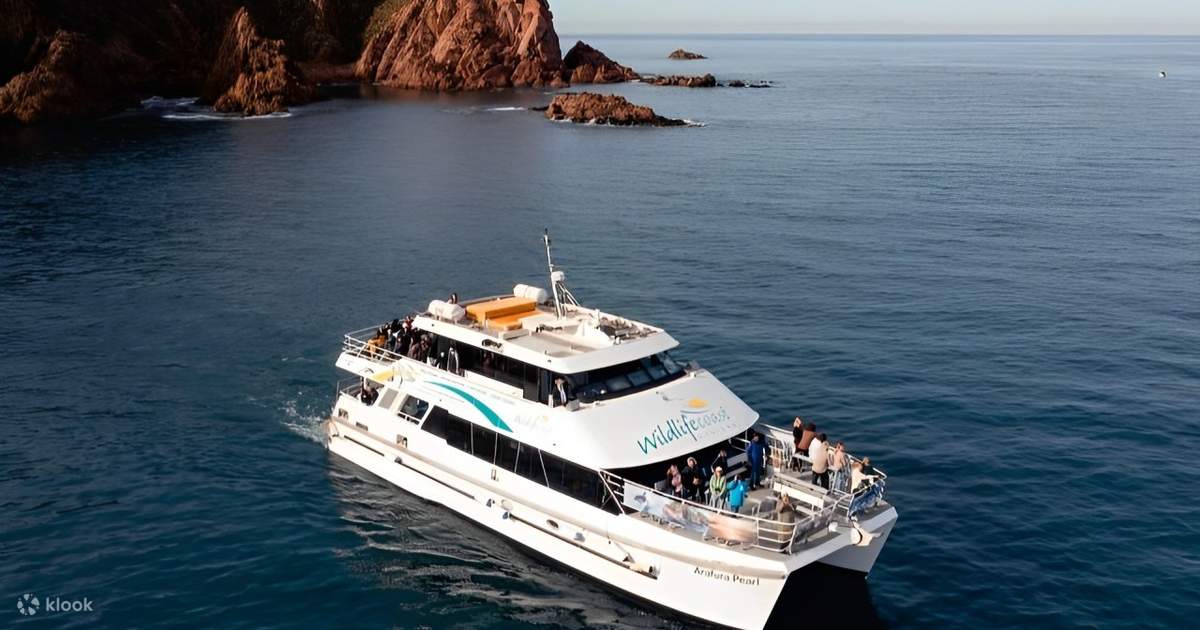 Du thuyền ngắm động vật hoang dã Phillip Island và tour ngắm chim cánh cụt từ Melbourne - Klook ...